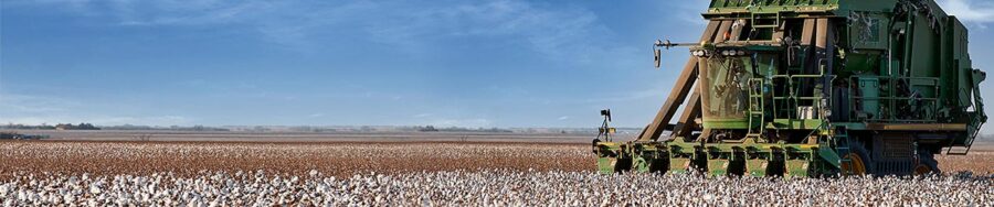 Bollgard® 3 ThryvOn® Cotton with XtendFlex® Technology | Roundup Ready ...